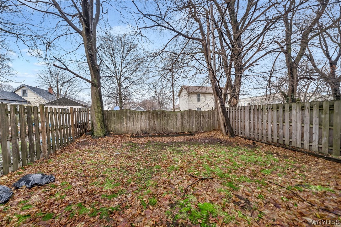 183 Lemon Street, Buffalo, NY 14204, Fruit Belt