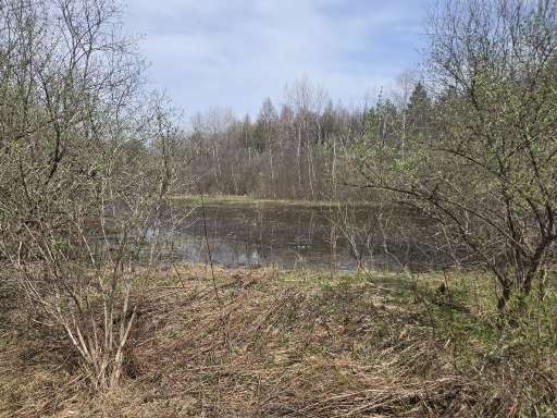 Doyle Road, Brookfield, NY 13485