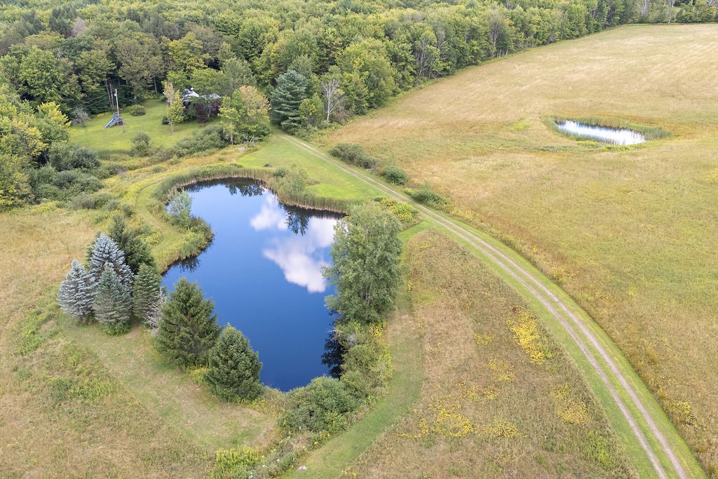 867 Randall Hill Rd, Masonville, NY 13804